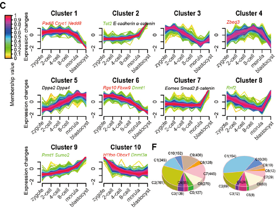 时间序列的聚类分析 (R包-Mfuzz)_data