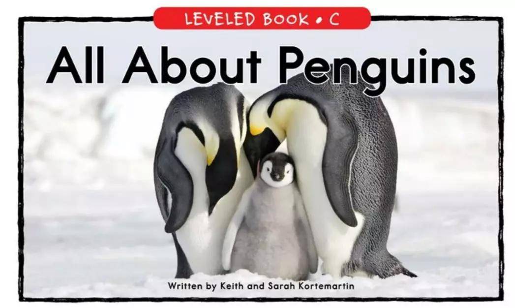 伴读 | Raz C：All About Penguins_are