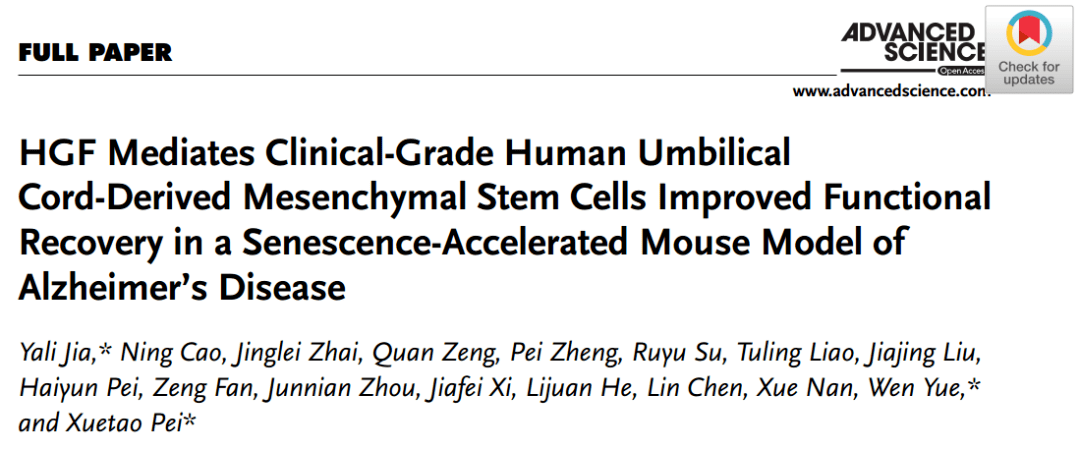 Adv Sci：干细胞治疗阿尔兹海默症的分子机理_hUC-MSCs