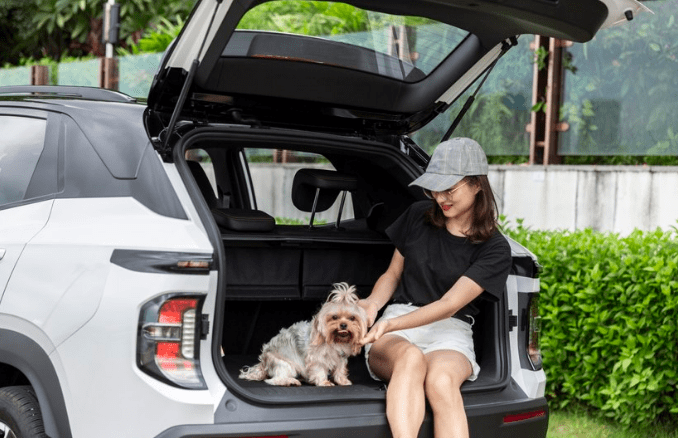 新宝骏RS-3 1.5T怎么样？看看车主评论，智慧自由SUV有实力_搜狐汽车_搜狐网