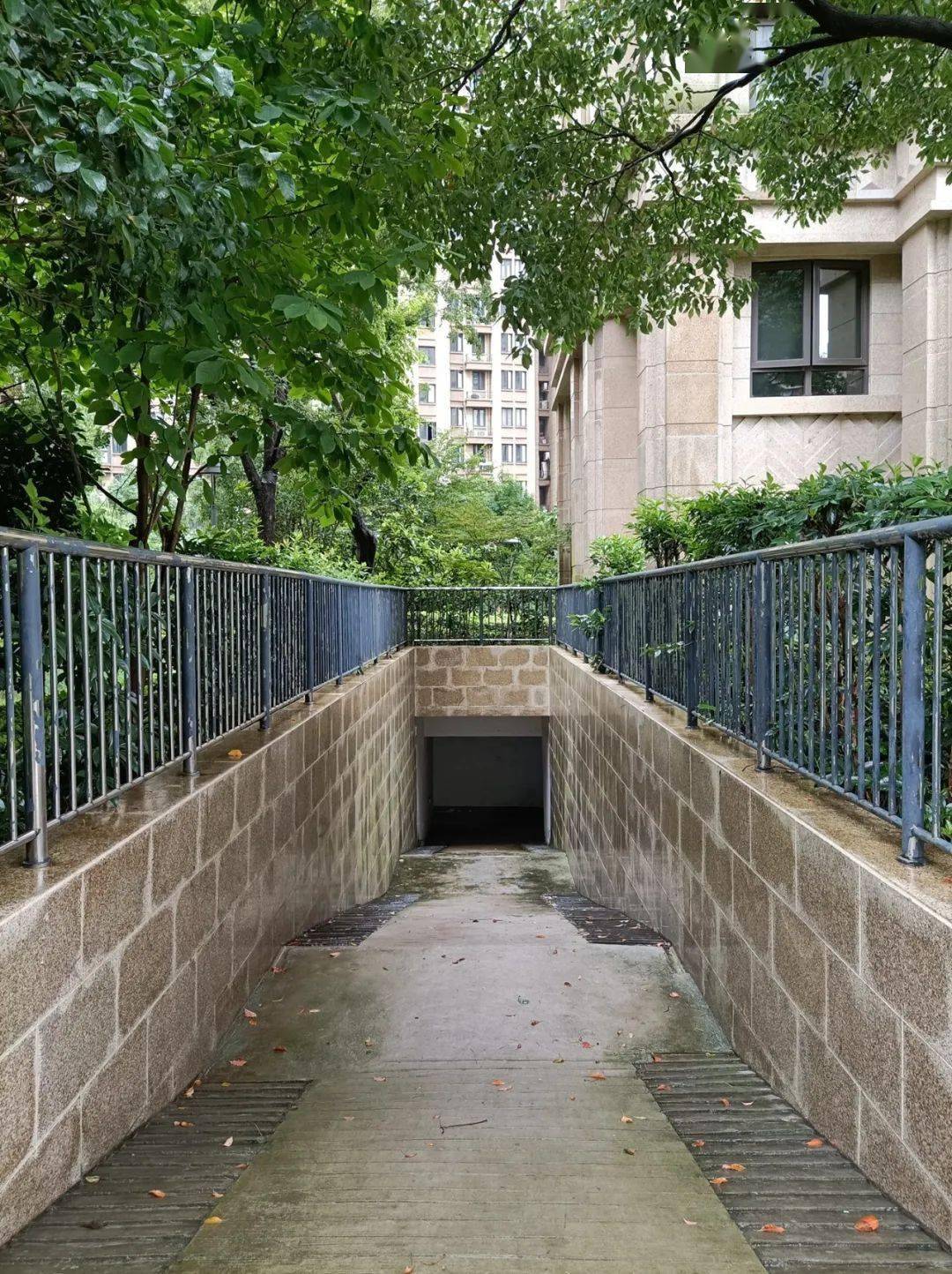 【样张实拍】Redmi10X、荣耀X10、K30 5G相机样张实拍对比_搜狐汽车_搜狐网