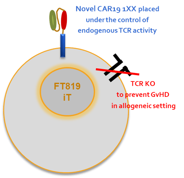 “现货” iPSC衍生细胞疗法再获批IND，通用型CAR-T大步向前_治疗