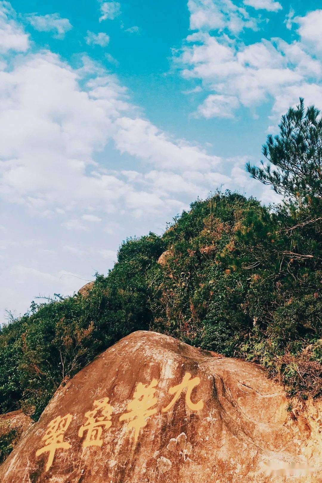 九九重阳节，除了登高赏菊，还有这场全岛的狂欢，千万别错过！-搜狐大视野-搜狐新闻