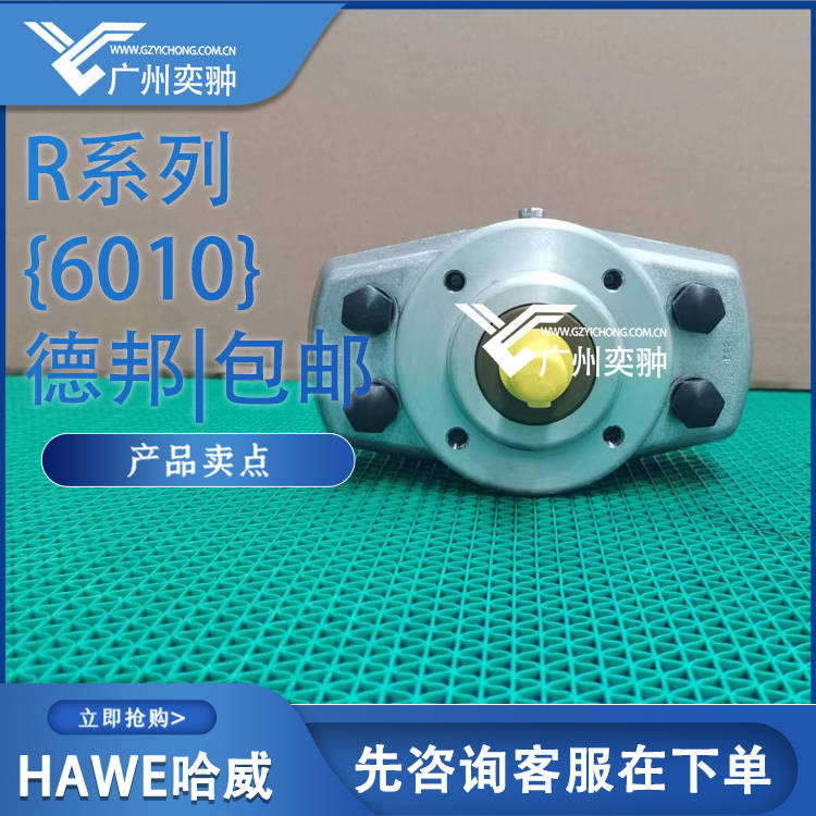 德国hawe哈威R系列R1.0柱塞泵到货实拍图-搜狐大视野-搜狐新闻