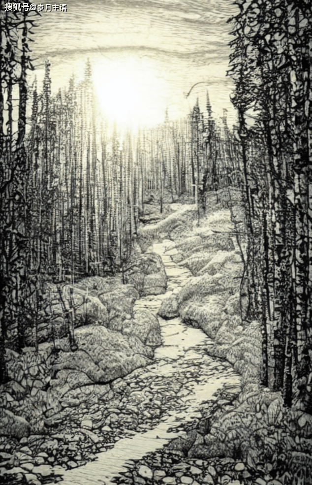 愿有歌可长留于此----白桦林-搜狐大视野-搜狐新闻