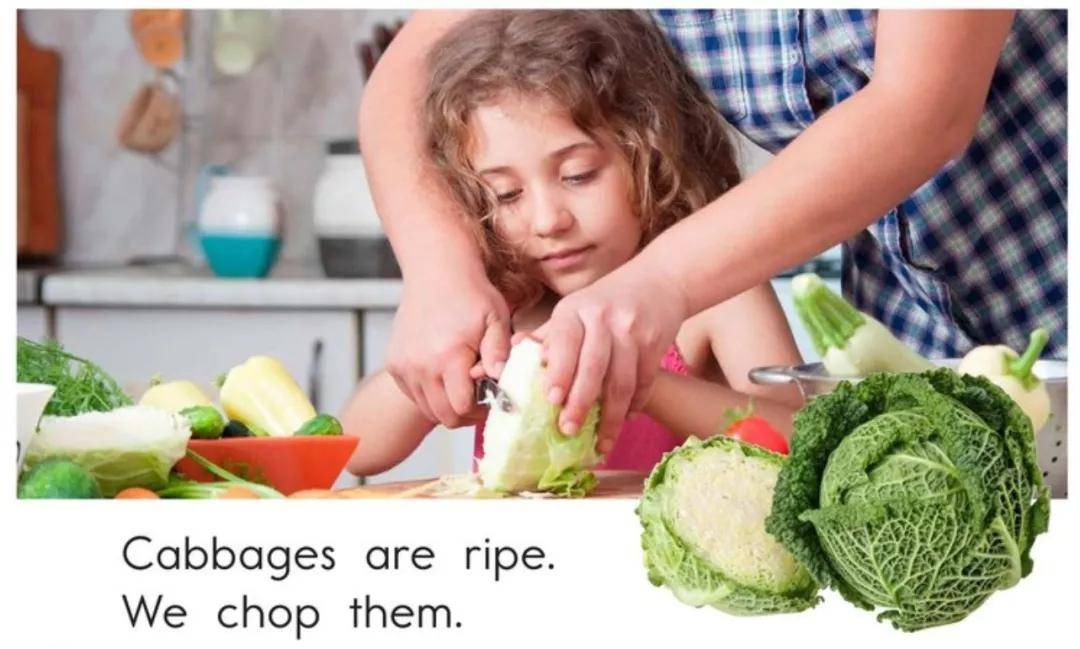 伴读 | Raz C：Fall Foods_them