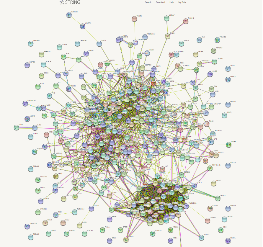 大牛带你复现STRING数据库构建PPI，cytoscape软件筛选hub基因-搜狐大视野-搜狐新闻