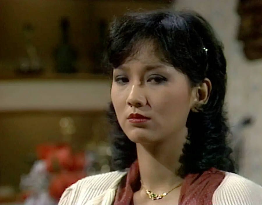 TVB七十年代当家花旦之赵雅芝-搜狐大视野-搜狐新闻