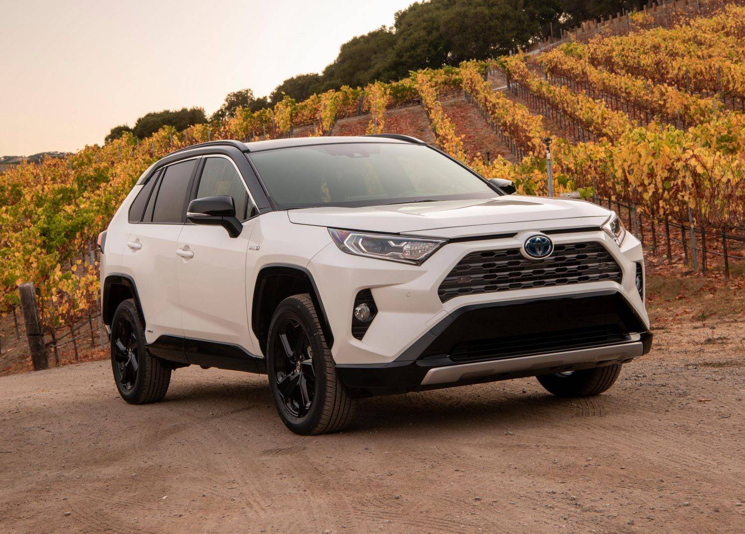 2020年美国最畅销的10款SUV，丰田RAV4销量超第二名6.5万多辆，探界者排行第三_搜狐汽车_搜狐网