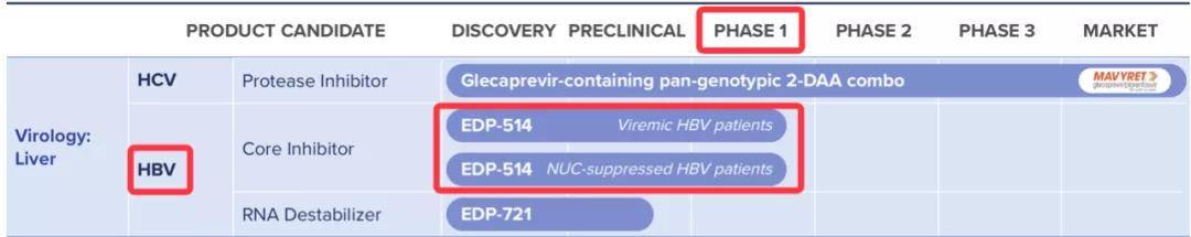 乙肝在研新药EDP-514，I期健康者试验，预计4至5月完成_研究