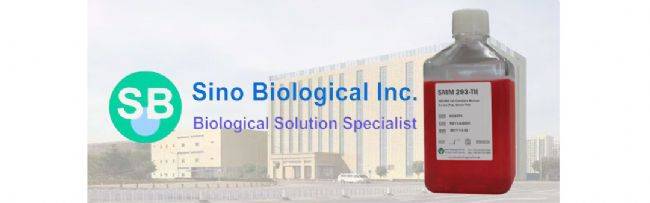 【评测】High Five昆虫细胞培养基_蛋白