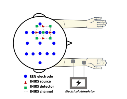 慧创fNIRS和EEG联用，能更全面的了解脑部信息_研究