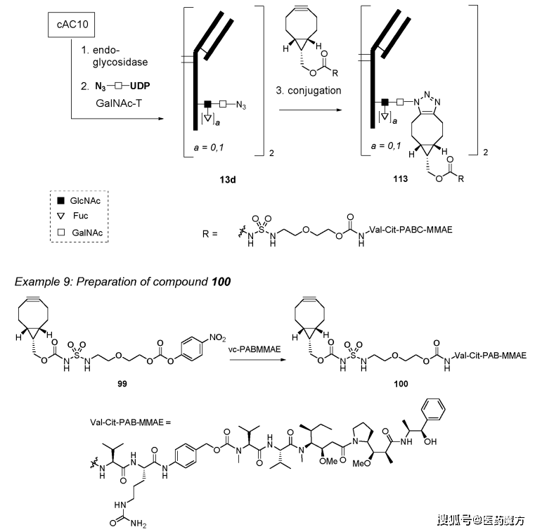 多项授权合作，Synaffix公司ADC专利技术解析_抗体