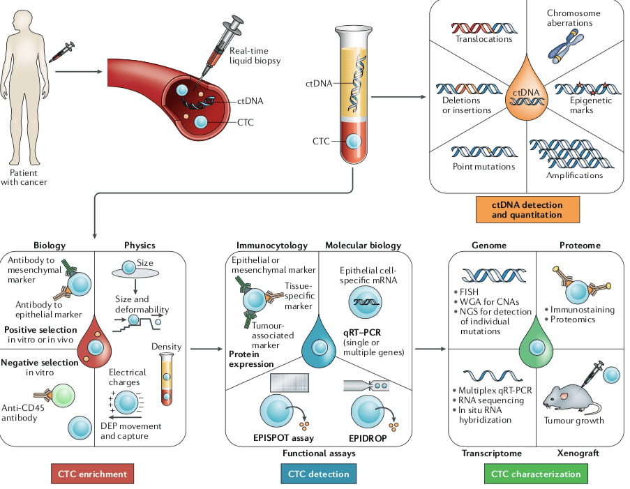 液体活检监测MRD为何如此重要？_ctDNA
