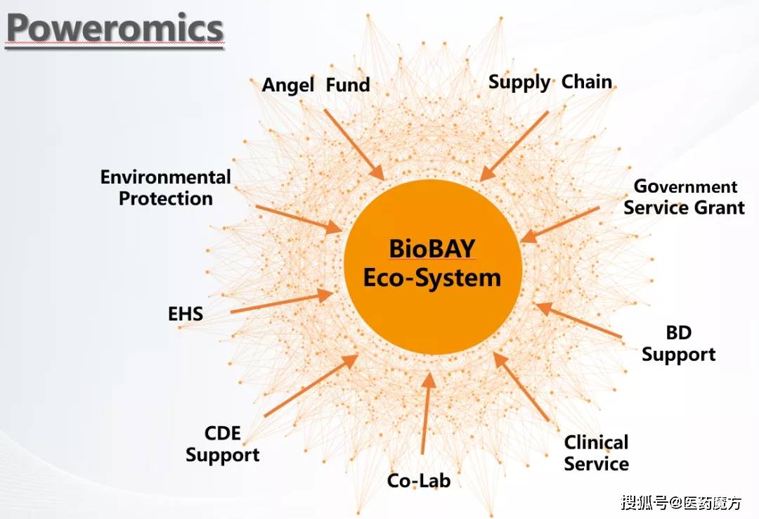 BioBAY的下一程_创新