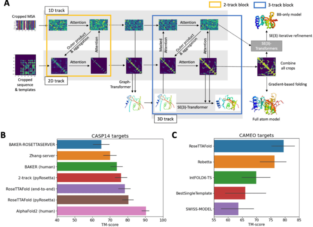 Science | RoseTTAFold—学术届的Fast Follow_结构