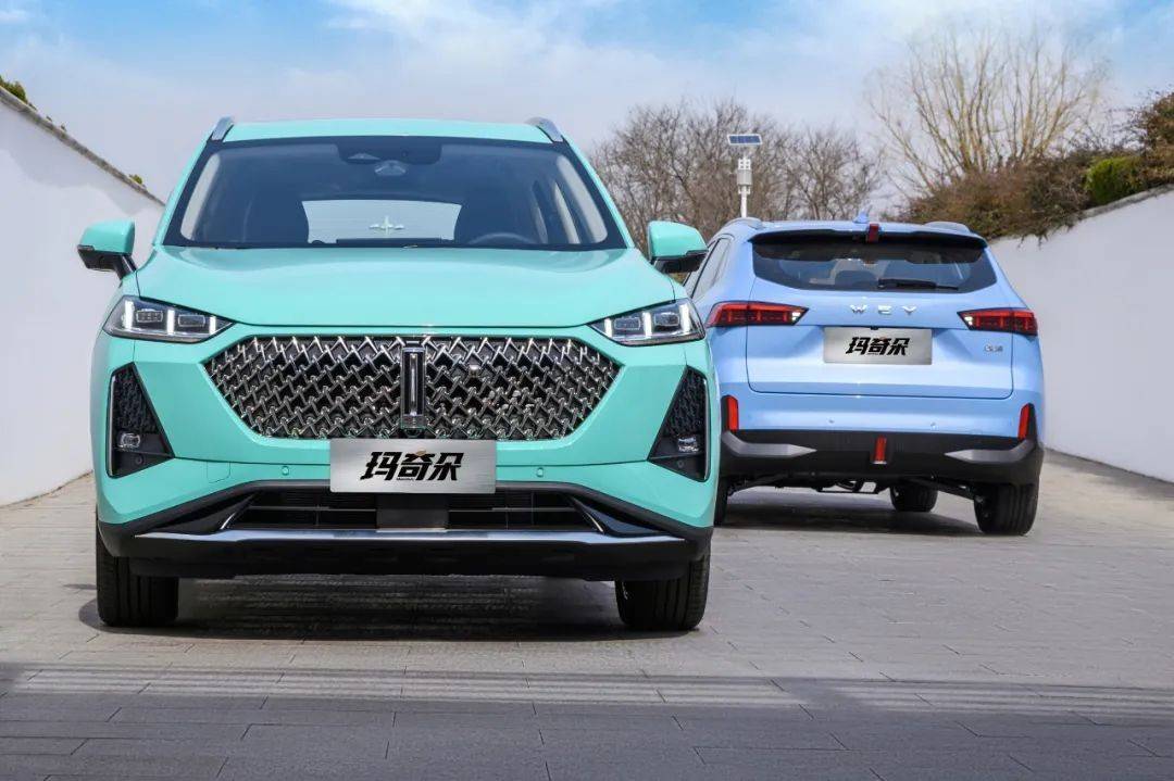 综合油耗5L，破百只需8秒，WEY重磅新车值得一看_搜狐汽车_搜狐网