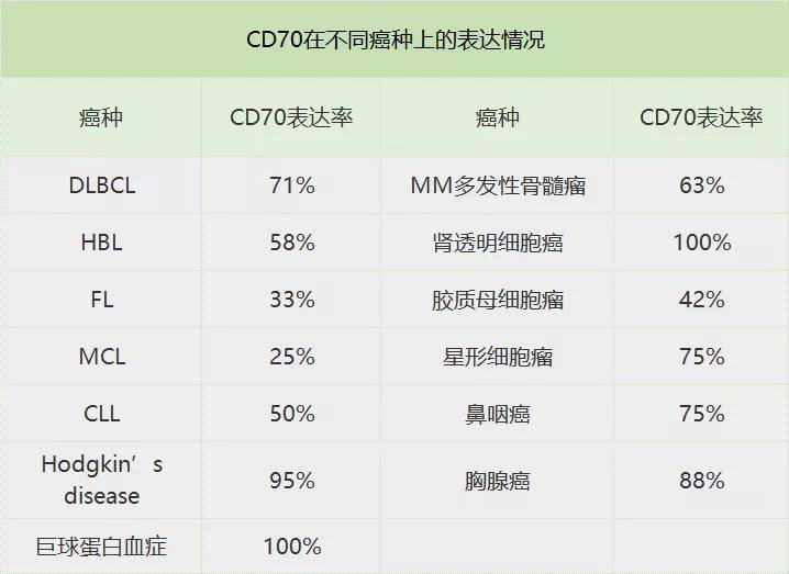 研究报告 | CD70靶点，又一TNFR超家族成员临床试验布局火热_细胞