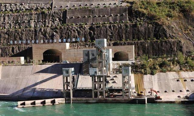 人类发明了鱼梯，鱼却爬不上去，到底该如何拯救回溯鱼呢？_水坝