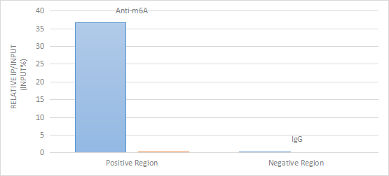 GenSeq MeRIP试剂盒再升级，助力多篇高分m6A文献发表！_流程