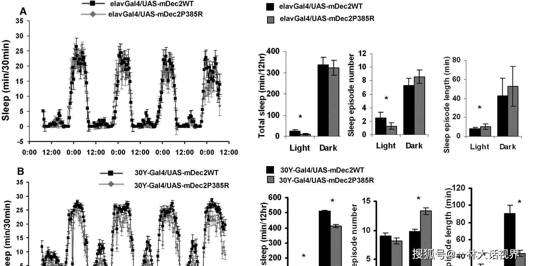 ADRB1基因的秘密｜睡眠时间也受遗传影响？_研究_Affects_神经元