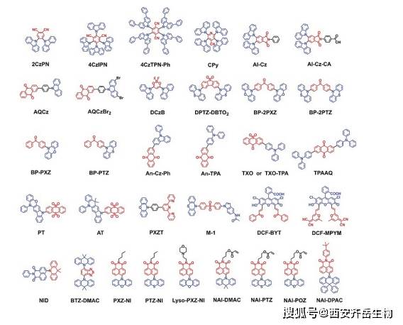热激活延迟荧光TADF材料在生物医学领域的应用和研究进展（齐岳生物）_WOcz_成像_分子