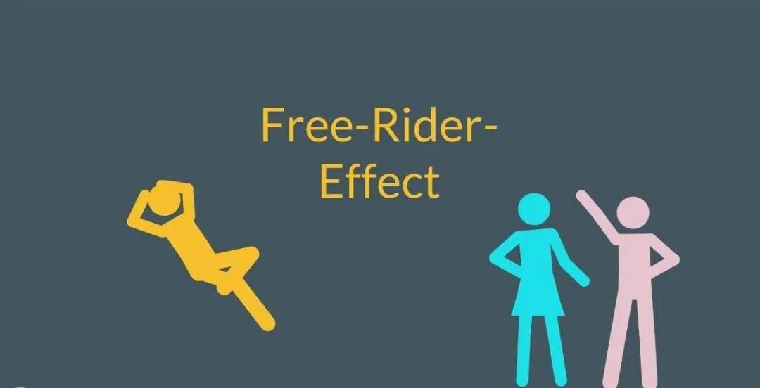 校友分享｜疫情时代港校的就读体验之香港科技大学_Rider_Free_作业