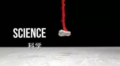 【亲子科学实验】五个关于盐的趣味小实验盐水静电盘子