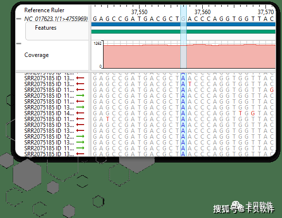 DNASTAR Lasergene-分子生物学软件包_分析_SeqNinja_序列