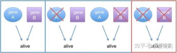 挑战DDR靶点之PRMT5|靶点筛选|安全靶点筛选|酶学检测|药物研发服务_合成_临床_基因