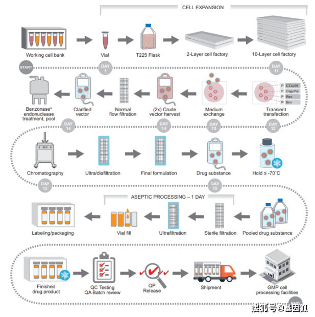 经验分享：基因治疗下游纯化生产平台搭建_病毒_Cytiva_设备