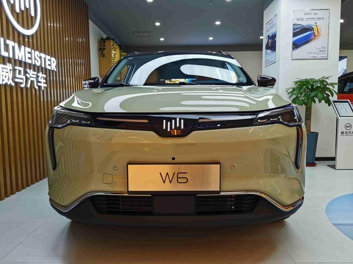 科技赋能的纯电中型SUV，威马W6实拍简评，实力如何？_搜狐汽车_搜狐网
