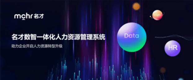 名才mchr|人力资源软件是什么？如何选择人力资源管理系统？_组织_产品_员工