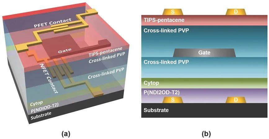 利用微喷墨技术研究溶液处理垂直堆叠互补有机电路_MicroFab_晶体管_Jetlab