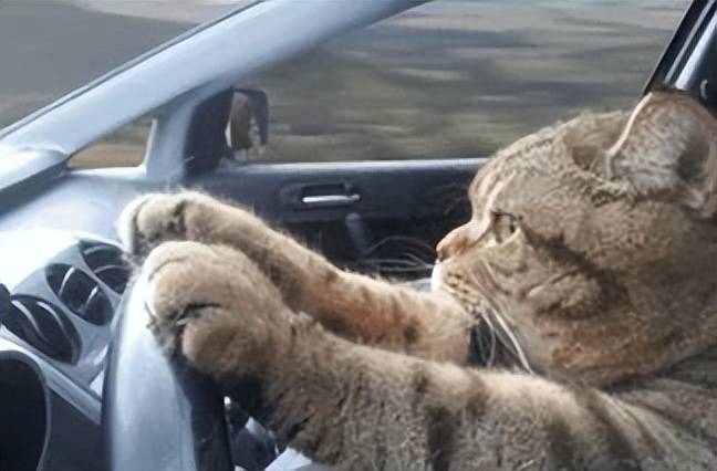 就喜欢站起来踩油门的感觉！233马力的UNI-V2.0T来了！思域慌了_搜狐汽车_搜狐网