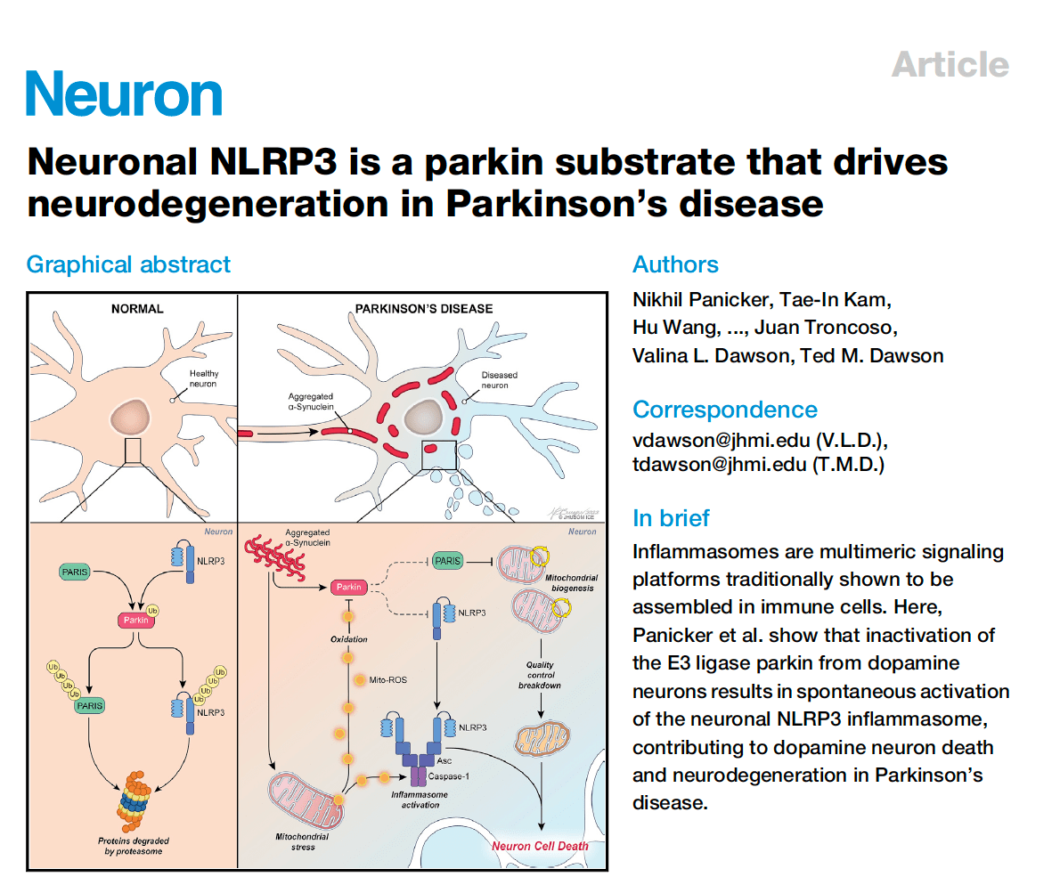 Neuron | NLRP3 -- 治疗帕金森病的新靶点_Hopkins_parkin_神经元