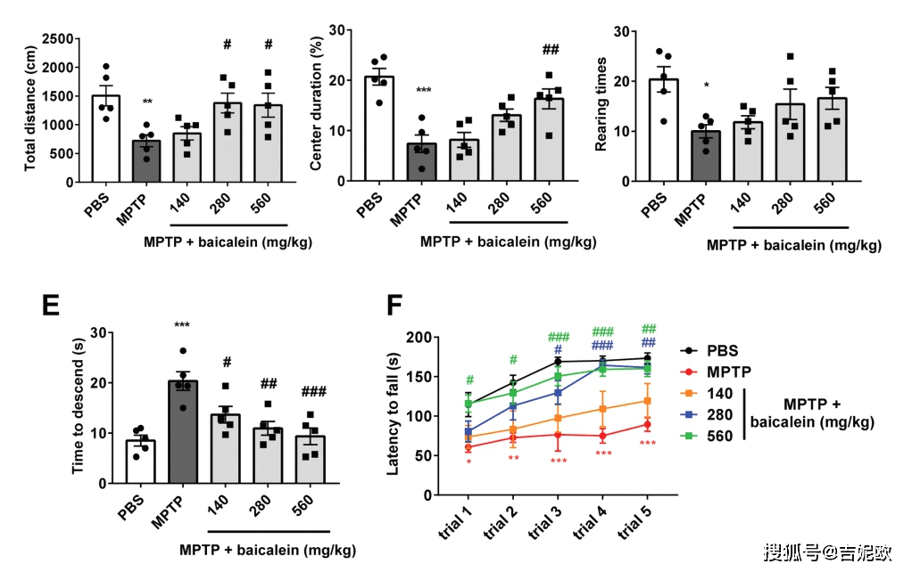 MPTP 诱导的慢性帕金森病动物模型 帕金森病(PD)小鼠模型的建模方法_神经系统_brain_Fig