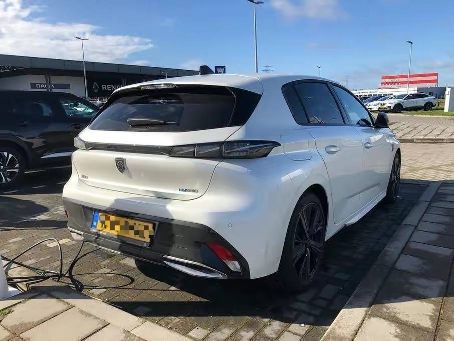 标致汽车“觉醒”，插电混动版标致308亮相，1.6T+8AT，犀利帅气_搜狐汽车_搜狐网