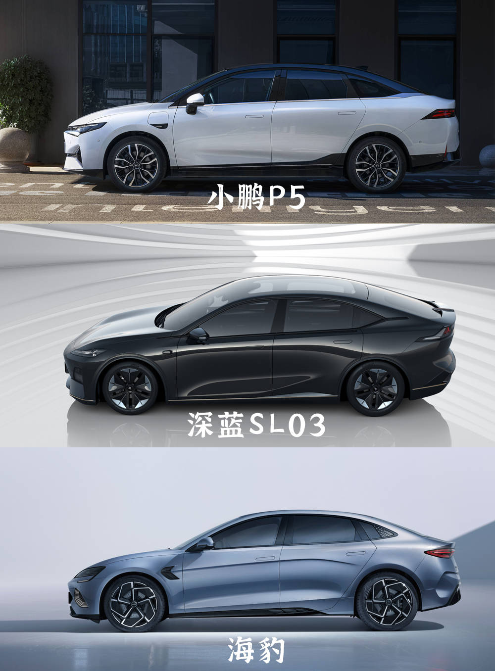 手握20万，深蓝SL03、海豹和小鹏P5三选一怎么选？_搜狐汽车_搜狐网