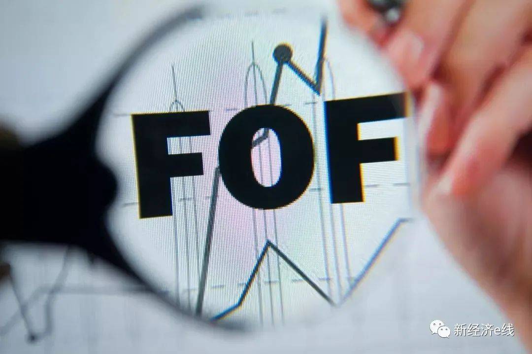 百亿FOF管理人大洗牌！仅六家上榜，首批个人养老金基金家底亮相_规模_全年_数量