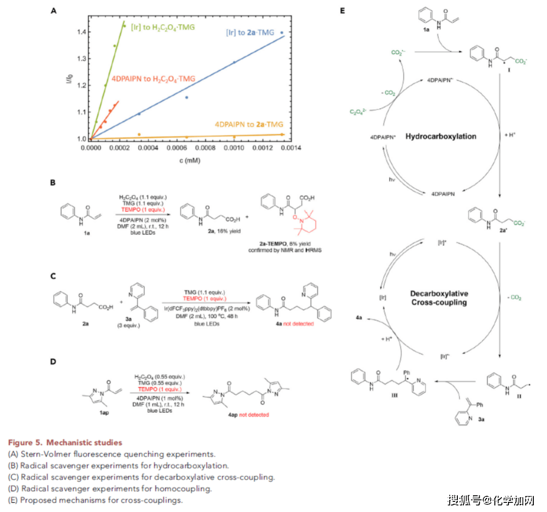 Chem：草酸作“桥”，烯烃相连_反应_合成_进行