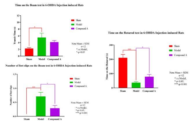 6-OHDA诱导大鼠模型|动物模型构建|大鼠模型构建服务_评估_神经_位点