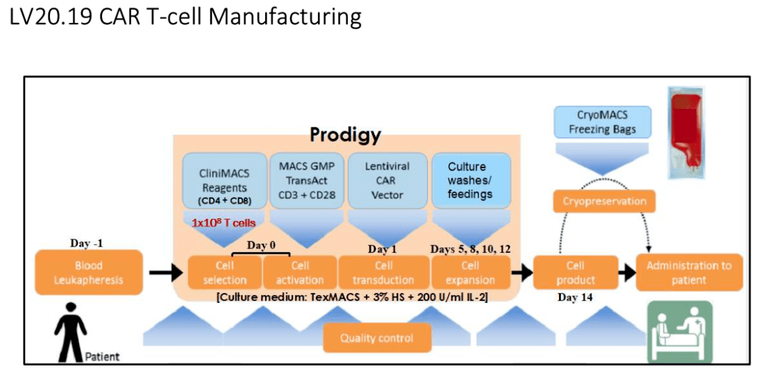 CD20/CD19双特异性CAR-T疗法LV20.19 CAR最新数据出炉！-印塔健康官网