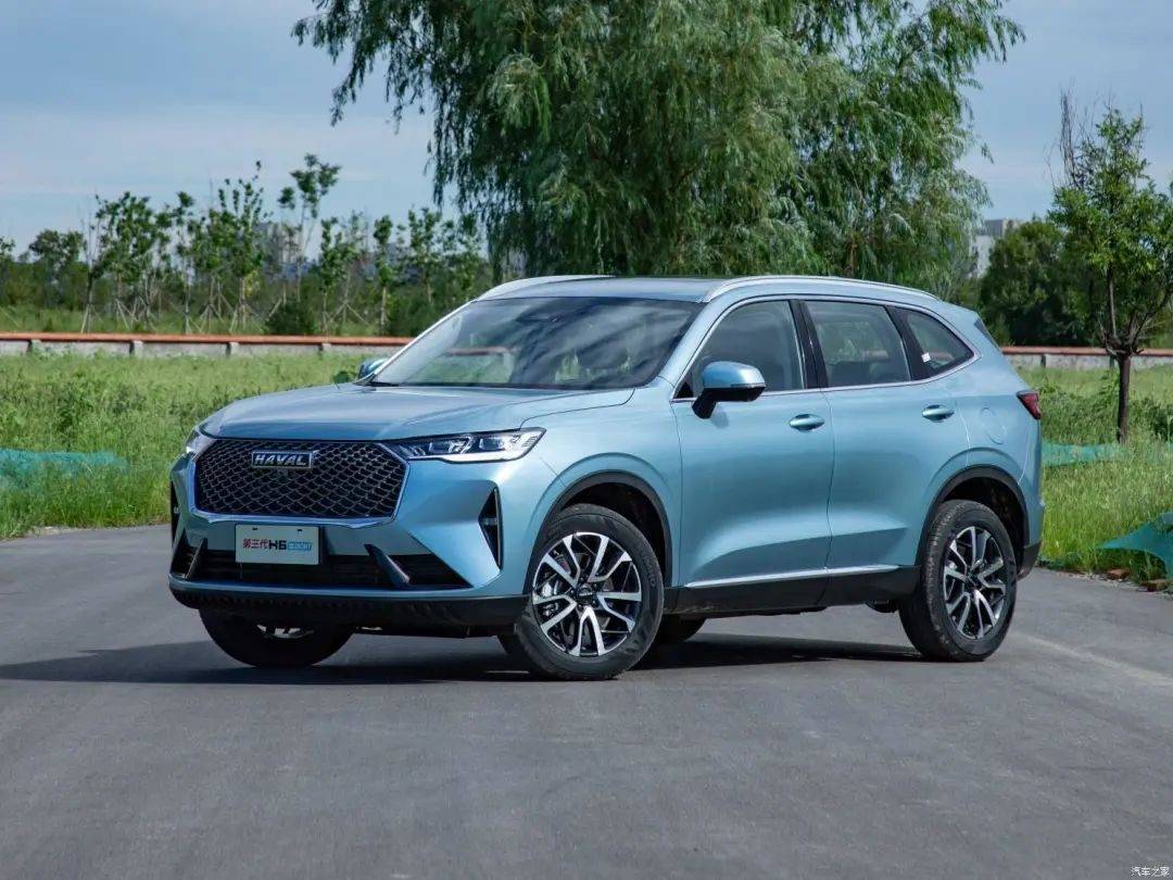 又是咖啡又是狗，买了这些SUV会不会被同事嘲笑？_搜狐汽车_搜狐网