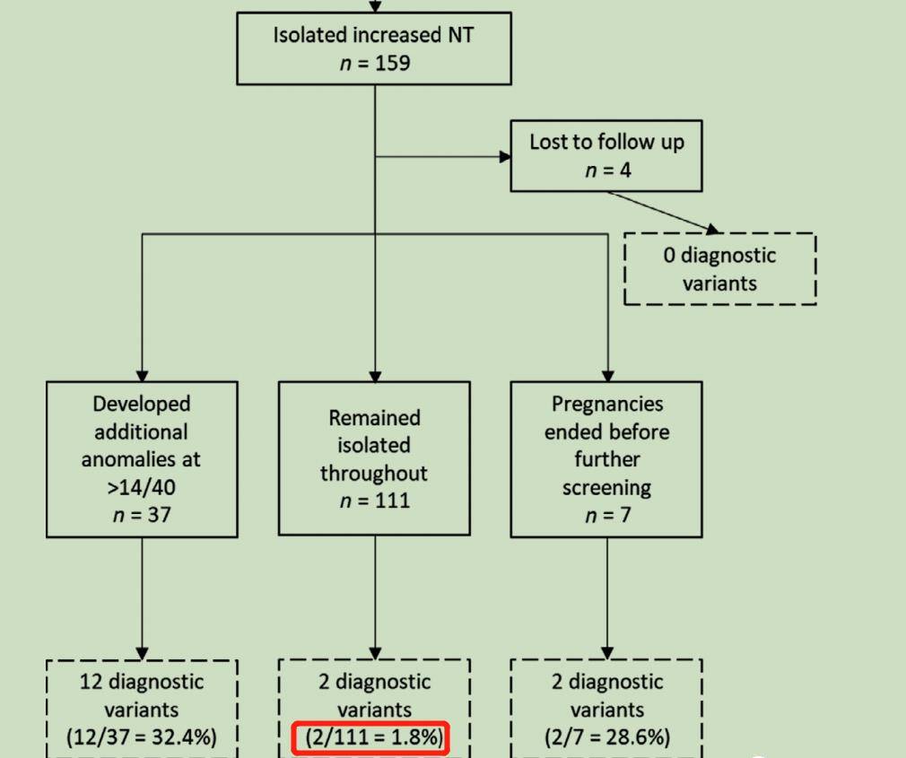 产检时超声提示NT增厚，怎么办？_胎儿_综合征_染色体