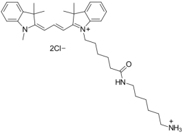 CY3-NH2花菁染料CY3标记氨基应用及介绍_amine_荧光_Sulfo-CY