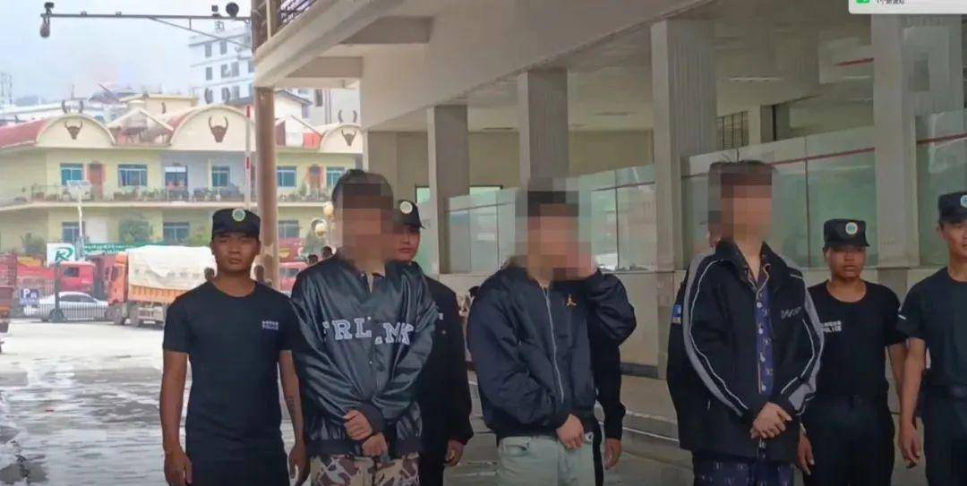 去东南亚就会被“割腰子”？其实没想的那么简单，肾移植要求很高_肾脏_进行_说法