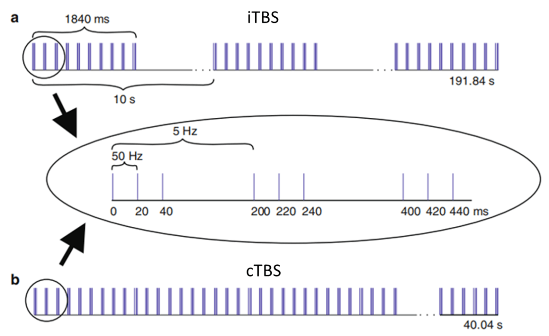 TMS安全指南权威解读（一）：应用新开发的刺激设备和脉冲配置的安全性问题_神经系统_进行了