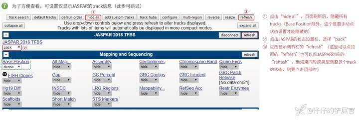 【科研工具包】转录因子预测及优化策略 ——JASPAR、NCBI、UCSC数据库联用_基因_序列_位点