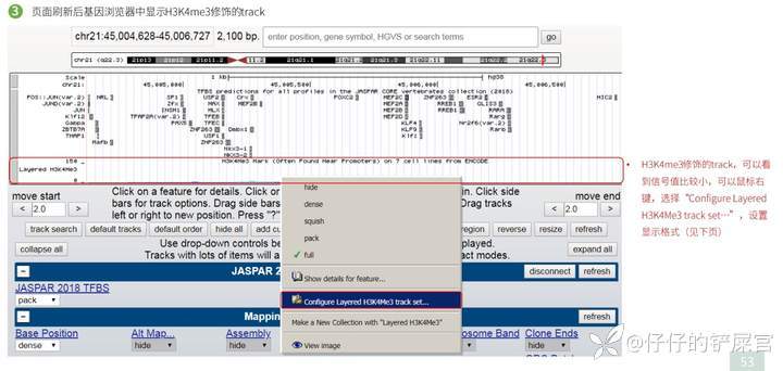 【科研工具包】转录因子预测及优化策略 ——JASPAR、NCBI、UCSC数据库联用_基因_序列_位点